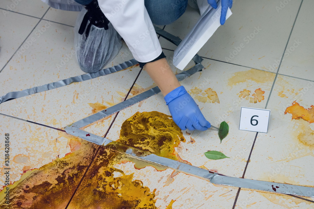 Forensic technicians taking DNA sample from blood stain with cotton ...