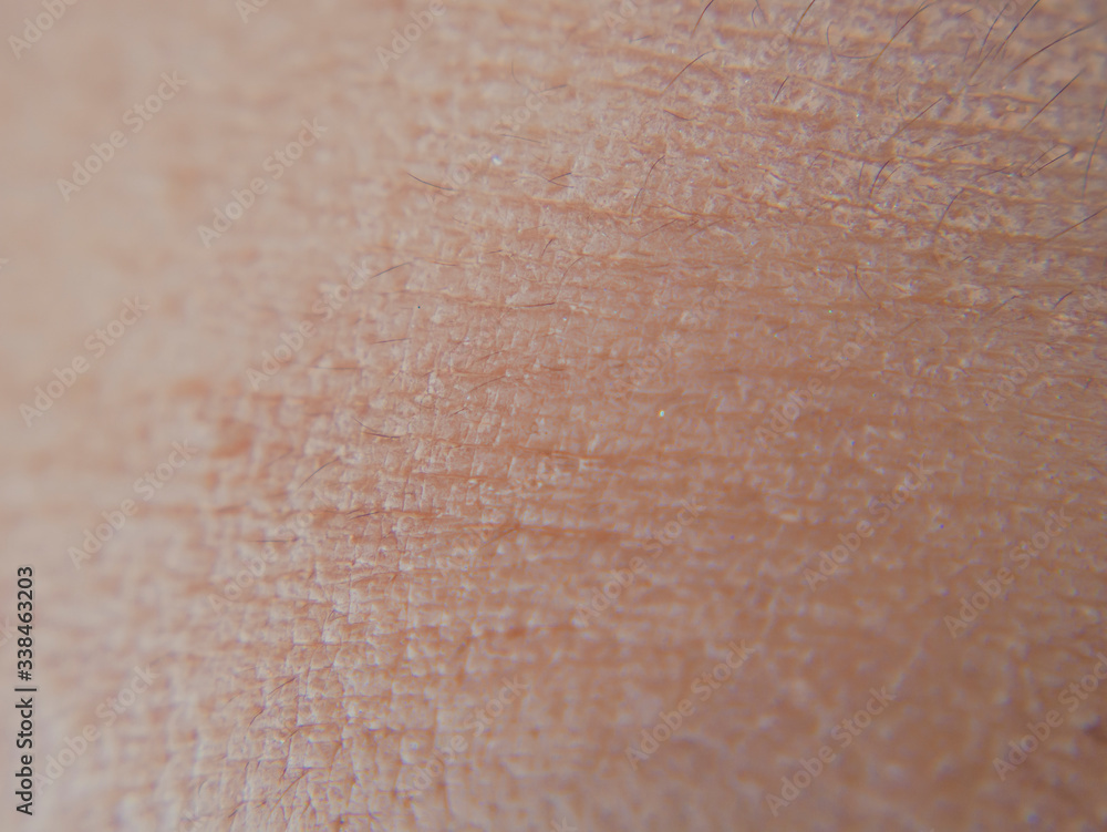 Selective focus with Macro of human skin. Human skin texture. Pattern ...