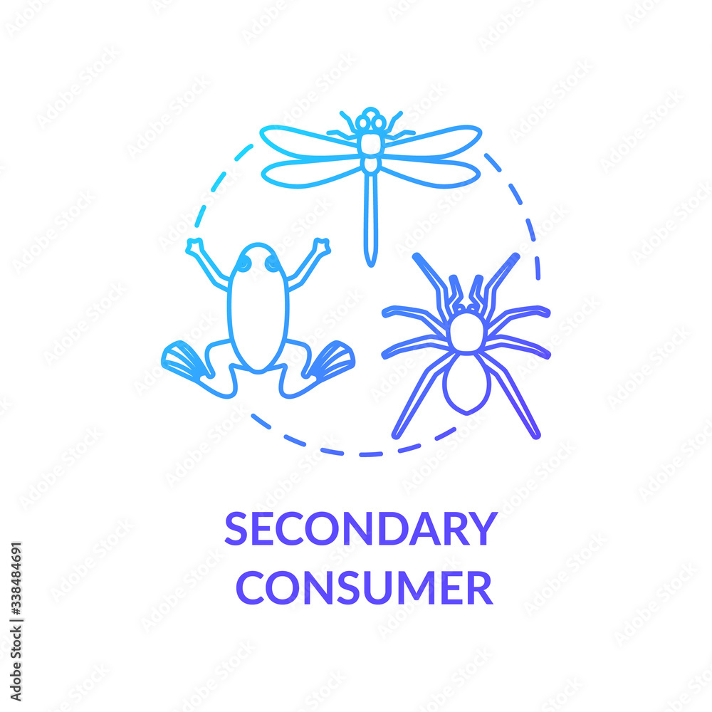 Secondary Consumer