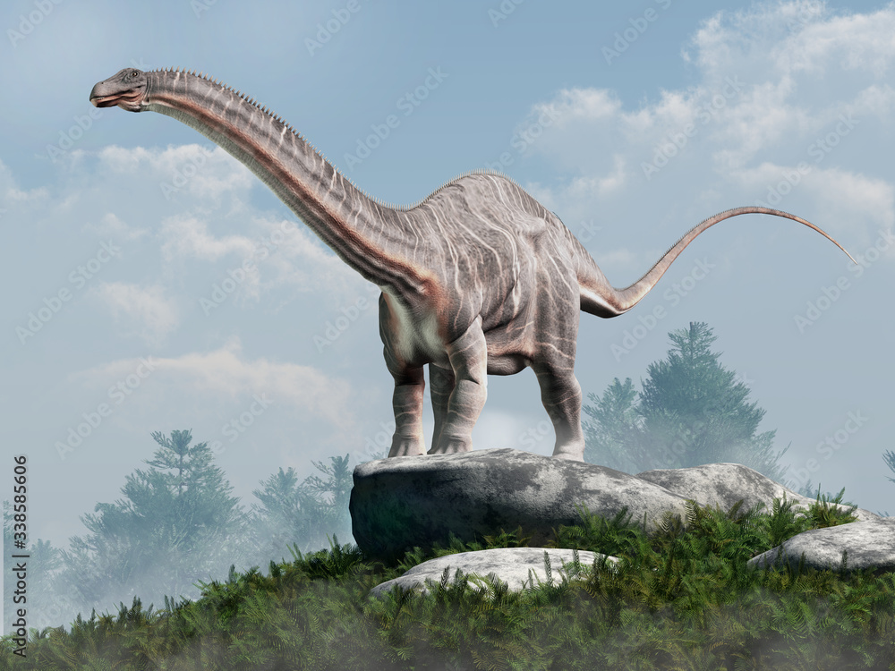Apatosaurus was a sauropod dinosaur. A herbivore, it lived in during ...