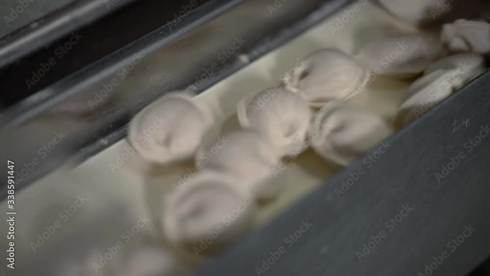 Automatic Machine Production Process at a Dumpling Factory. Fresh Raw ...