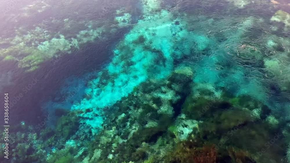 Te Waikoropupu Springs: Natural spring in Nelson New Zealand - largest ...