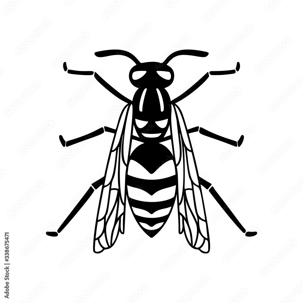 Insect wasp, black wasp silhouette. A stinging insect, an insect pest ...