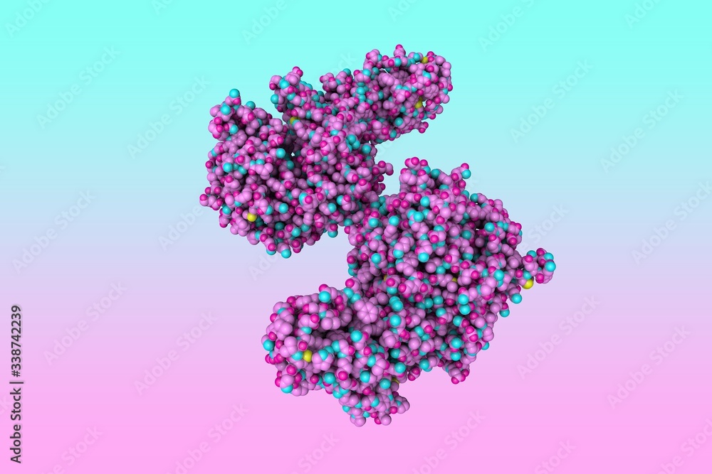 Molecular model of spike protein receptor-binding domain from the 2002 ...