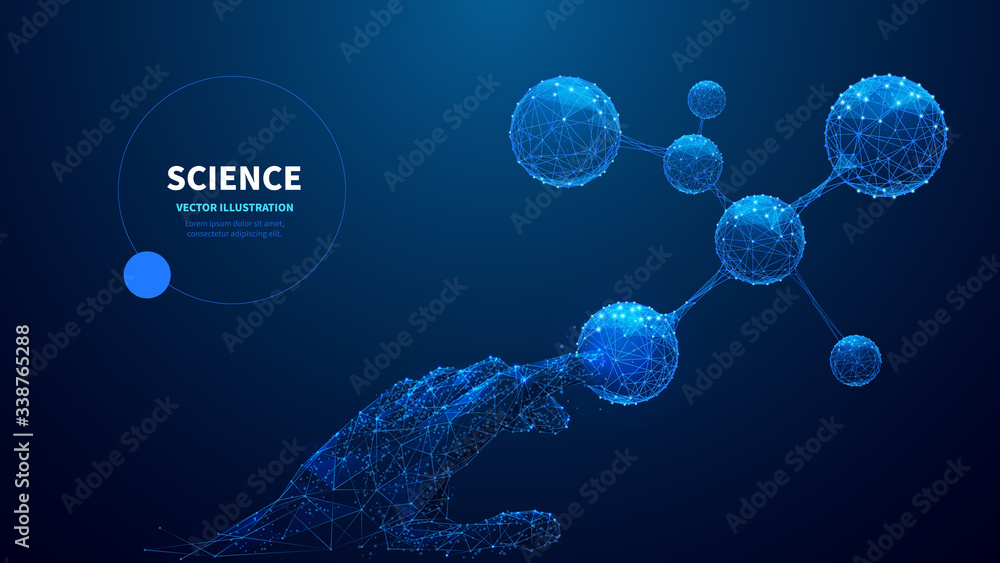 human hand touching a molecule polygon blue Stock 벡터 | Adobe Stock