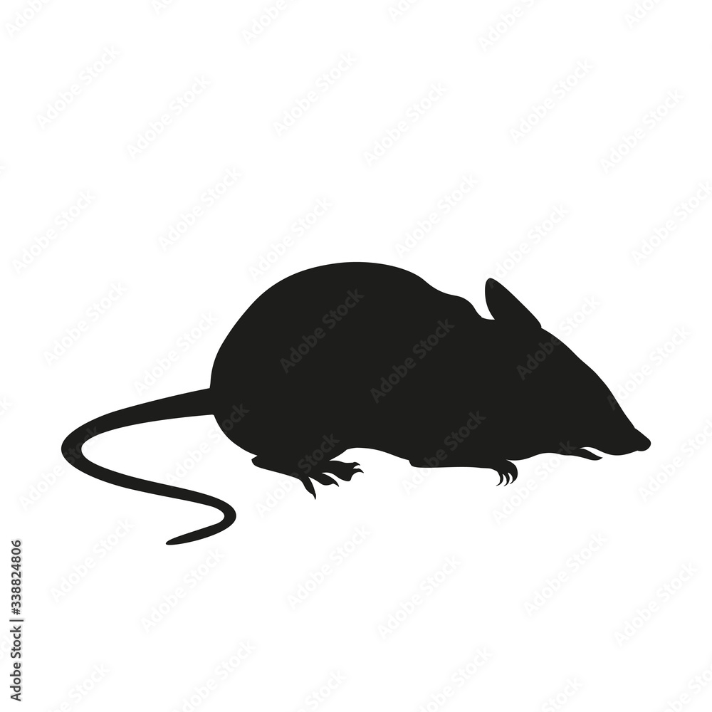 Silhouette of a seated domestic mouse vector illustration Stock Vector ...