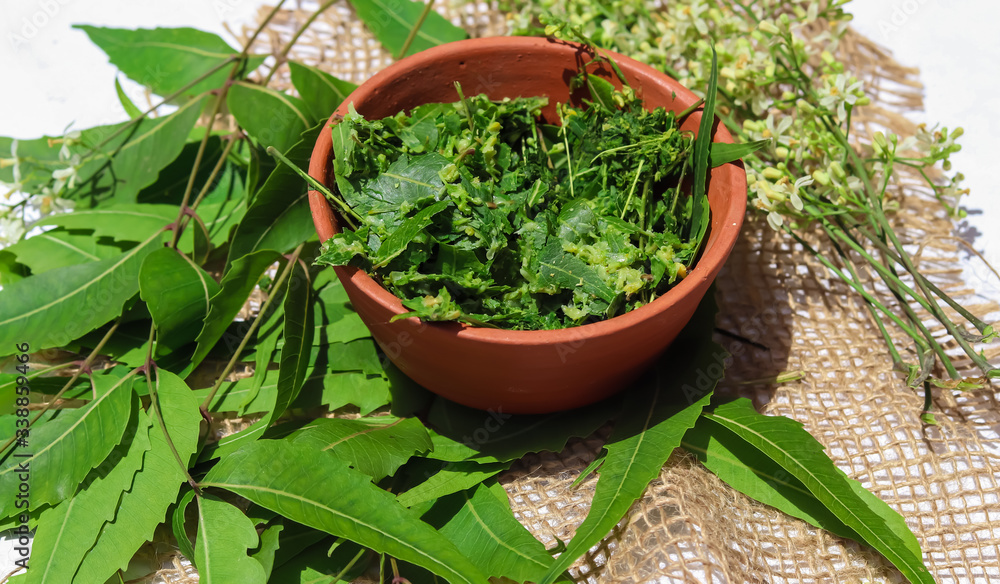 neem flowers and leaves with nim paste on white background,Neem leaves ...