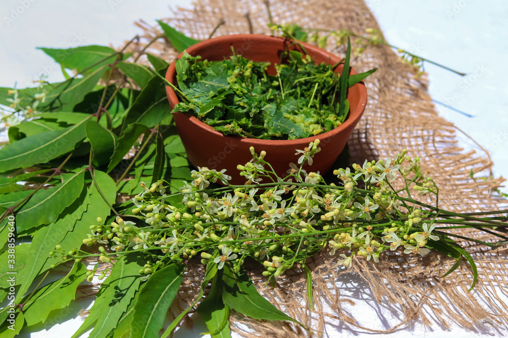 neem flowers and leaves with nim paste on white background,Neem leaves used as ayurvedic ...