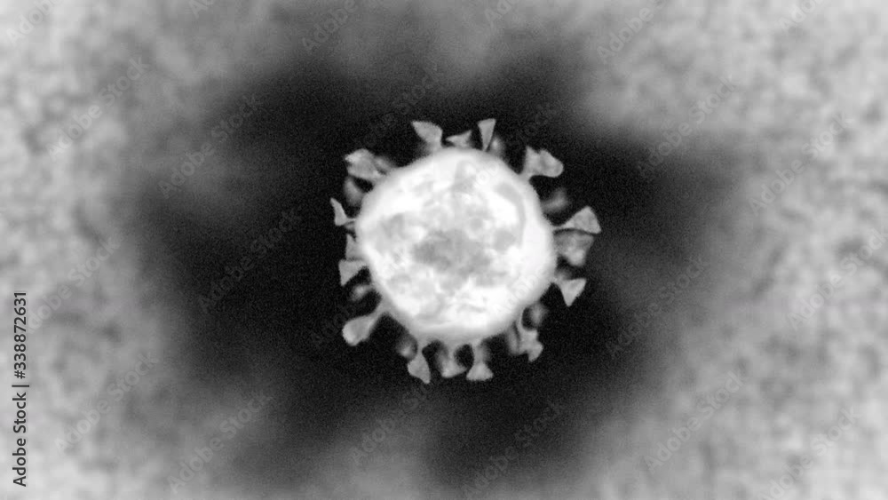 Realistic animation of a single coronavirus particle as seen under a ...