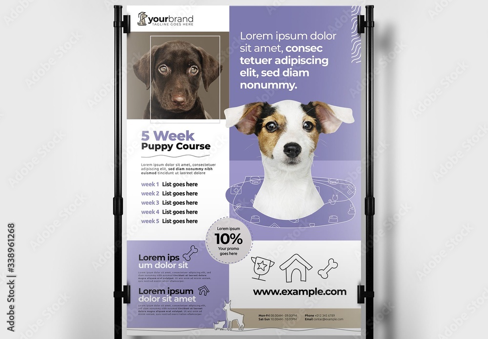 Poster Layout for Puppy and Dog Services Stock Template | Adobe Stock