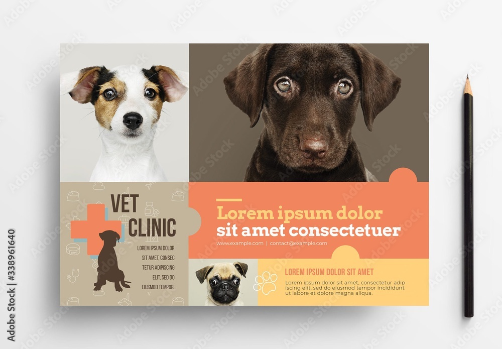 Veterinary Flyer Layout with Dog Silhouette Illustration Stock Template ...