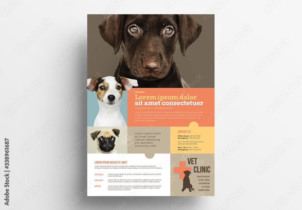 Veterinary Flyer with Orange Accents Stock Template | Adobe Stock