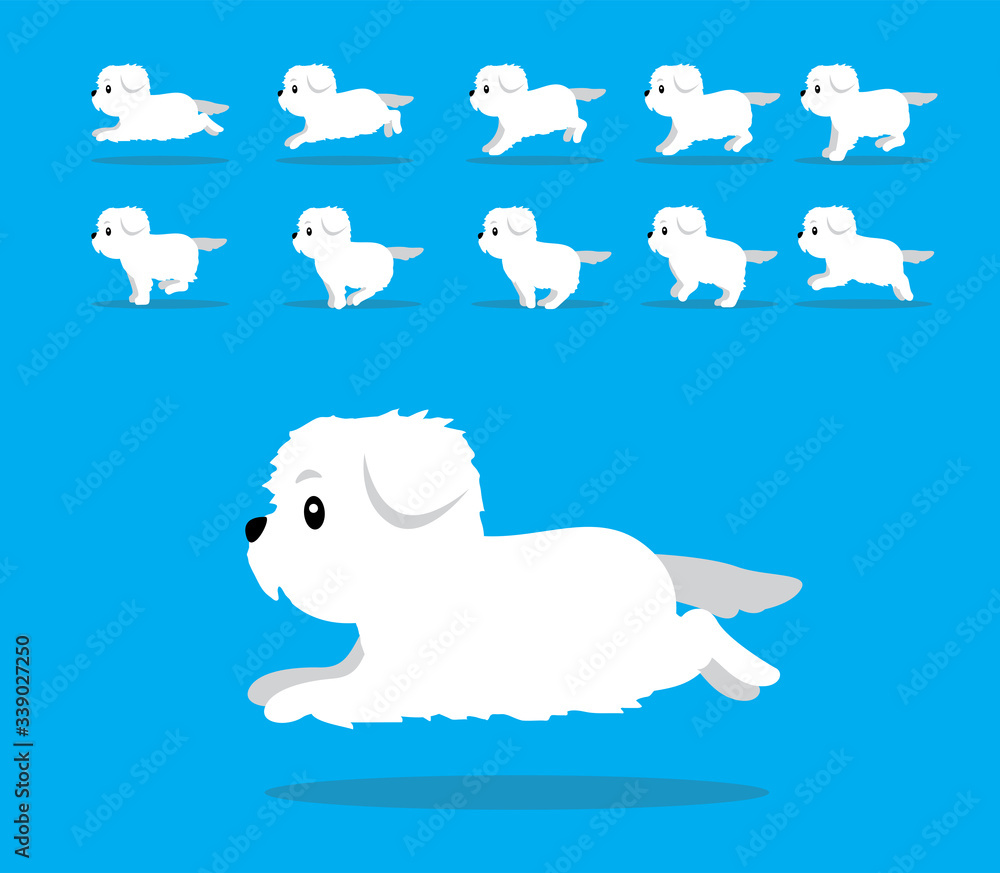 Animal Animation Sequence Dog Maltese Cartoon Vector Stock Vector ...