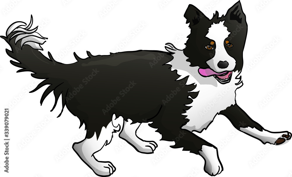 Border Collie vector funny cartoon illustration Stock Vector | Adobe Stock