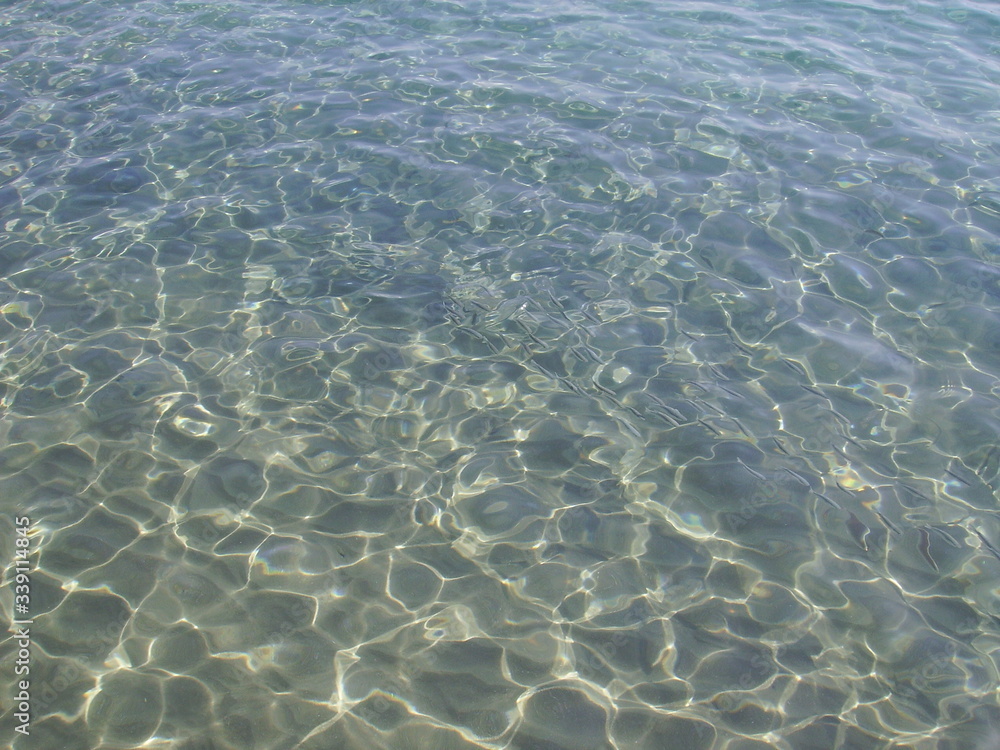 Water sea texture with fishs and sea's grunt Stock Photo | Adobe Stock