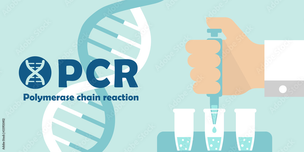 PCR (Polymerase chain reaction) test banner illustration / Novel ...