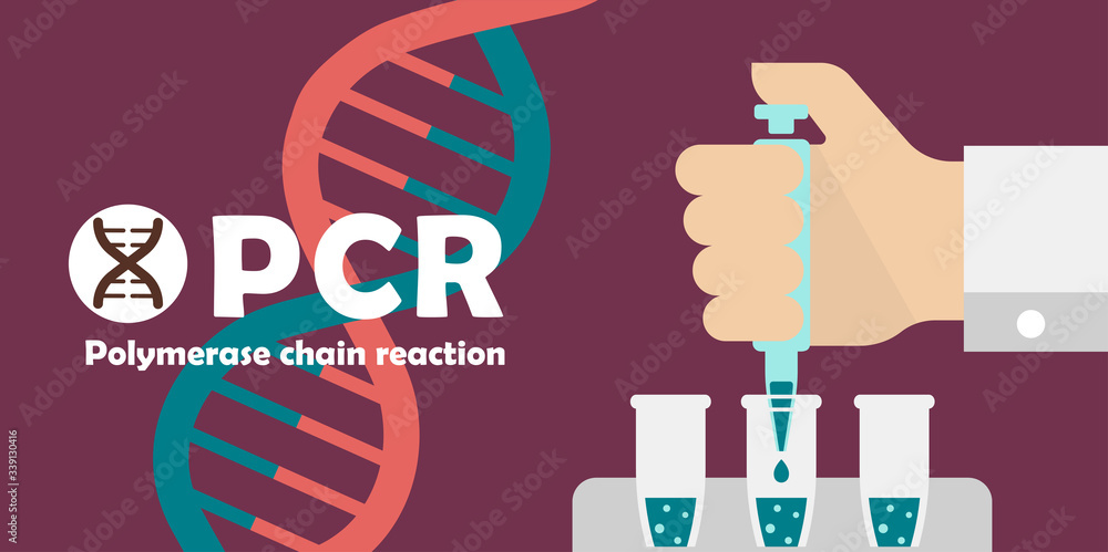 PCR (Polymerase chain reaction) test banner illustration / Novel ...