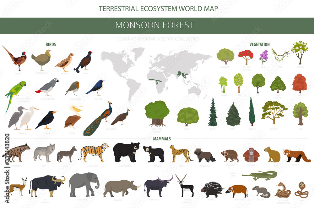 Terrestrial Ecosystem Animals