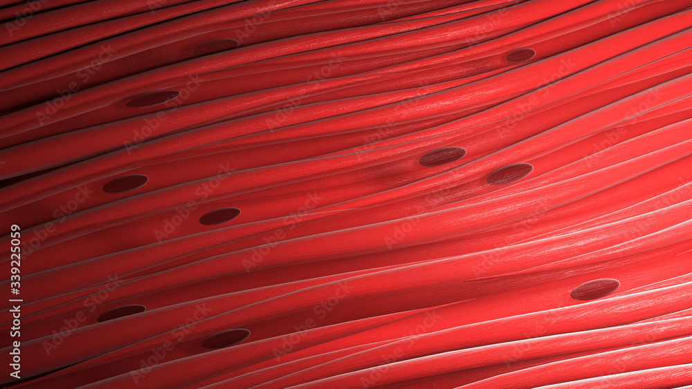 Smooth muscle cells tissue. 3d render Stock Illustration | Adobe Stock