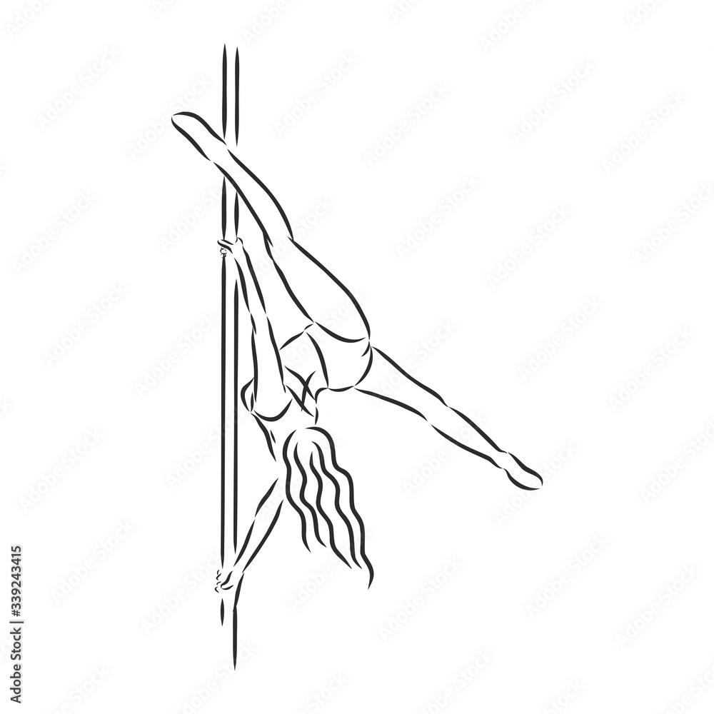 Pole dancer on the pole. Beautiful young woman on the pole. vector ...