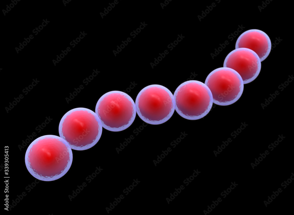 Cocci Shape of bacteria. streptococci type Bacteria. Stock Illustration ...