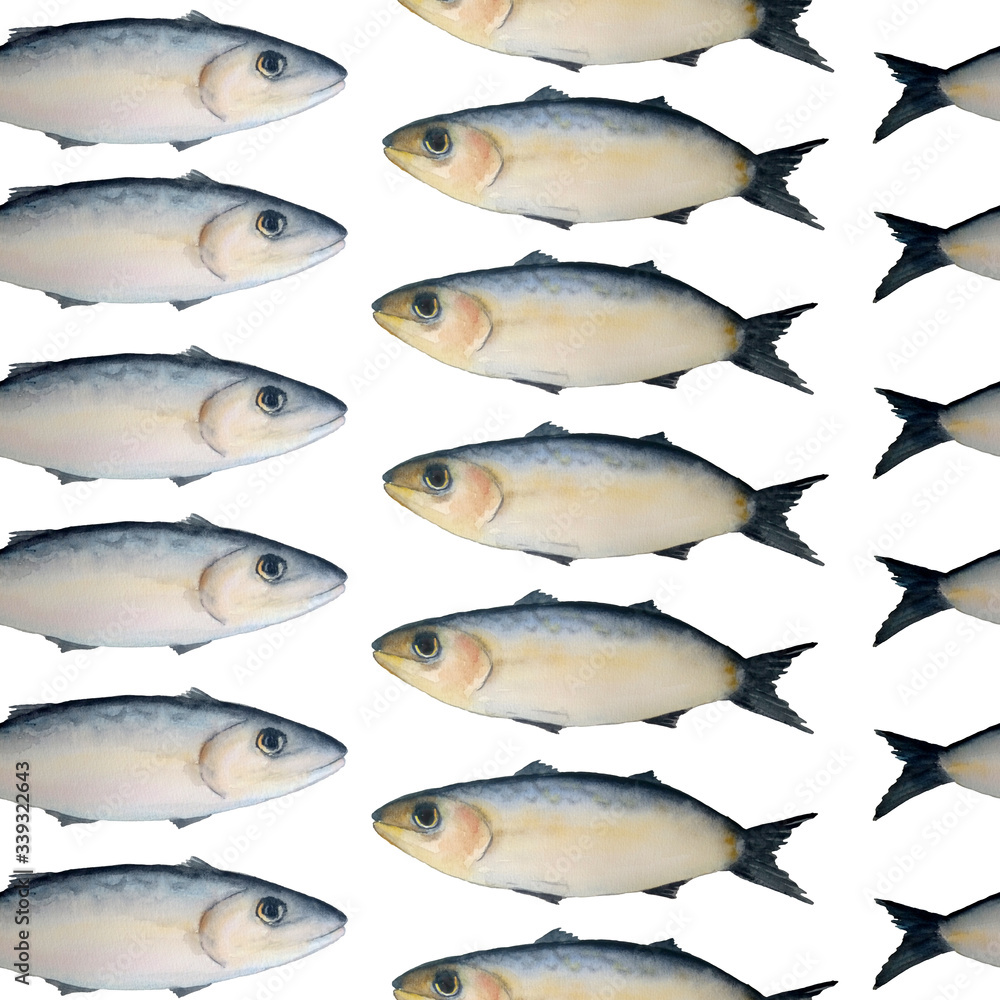 hand drawn watercolor seamless pattern of sardine pilchard for ...