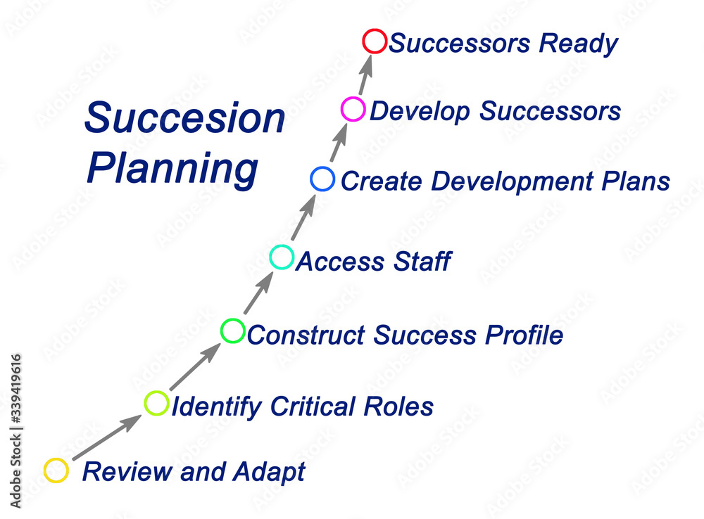 Seven components of Succesion Planning Stock Illustration | Adobe Stock