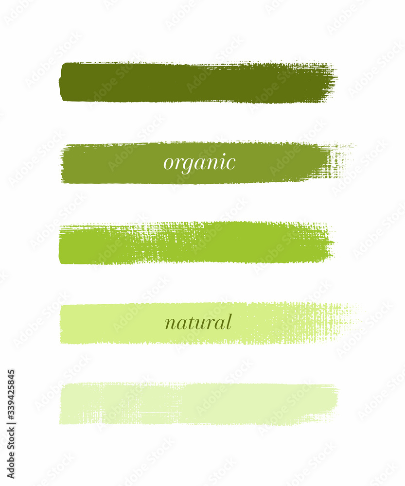 Organic green line art brush paint texture set isolated vector ...