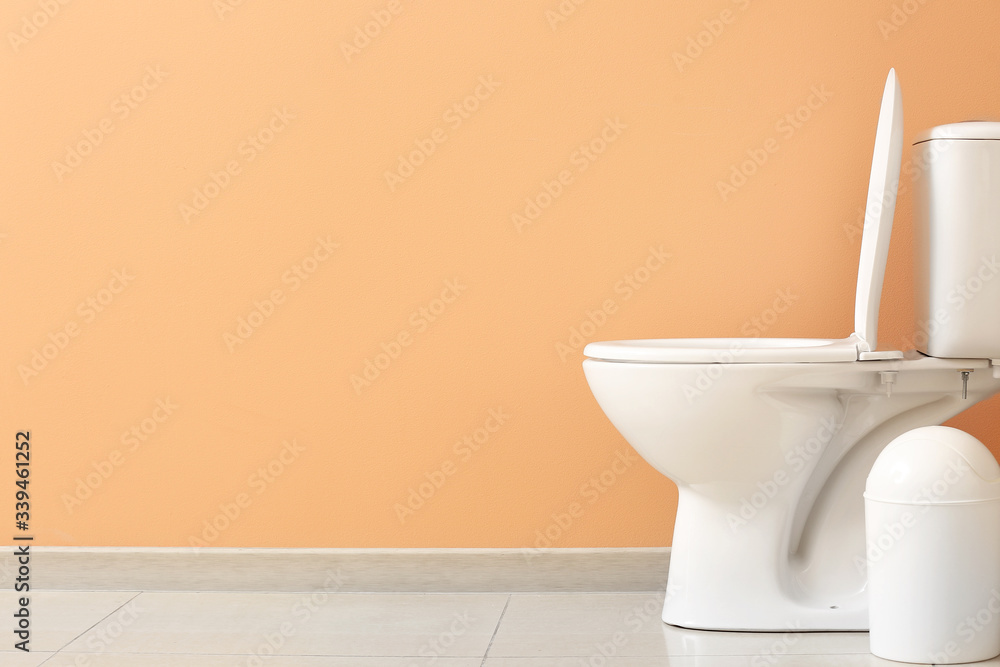 Toilet Wall Color Ideas