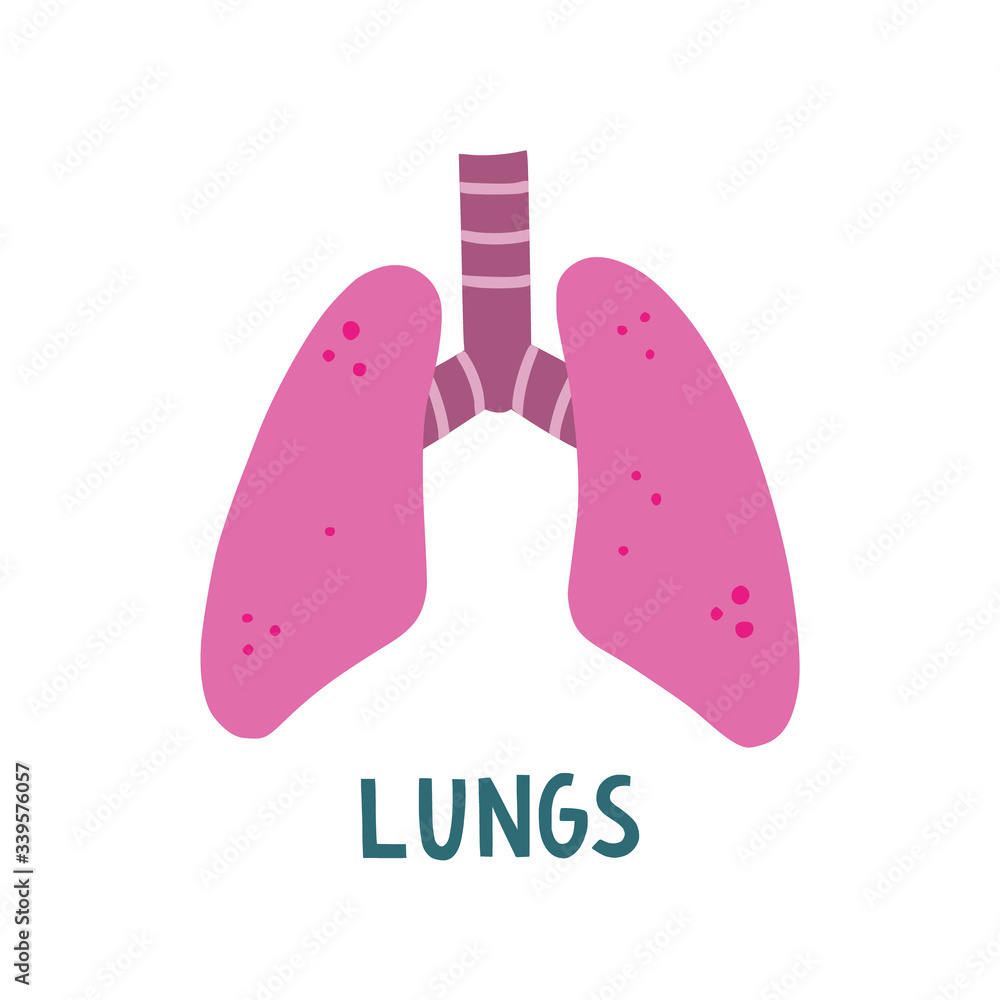 Vector isolated illustration of lungs, trachea, bronchus with hand ...