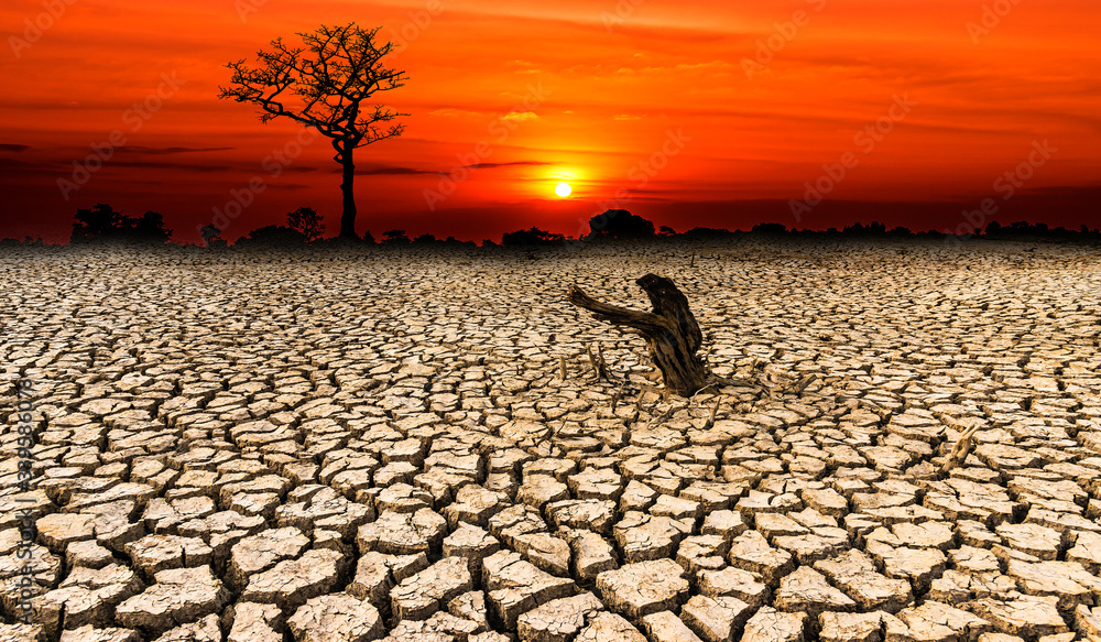 Stockfoto med beskrivningen Part of a Huge Area of Dried Land Suffering ... Stockfoto med beskrivningen Part of a Huge Area of Dried Land Suffering ...