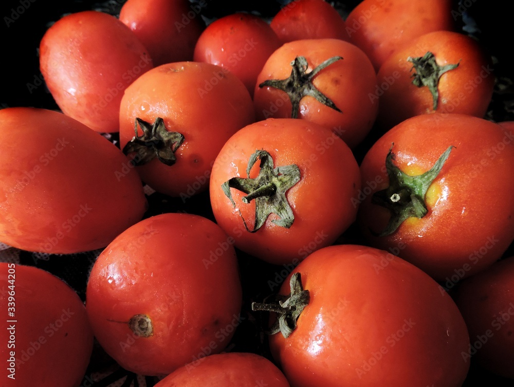 Zdjęcie Stock: Vegetable - Tomato is an edible, often red, berry of the ...