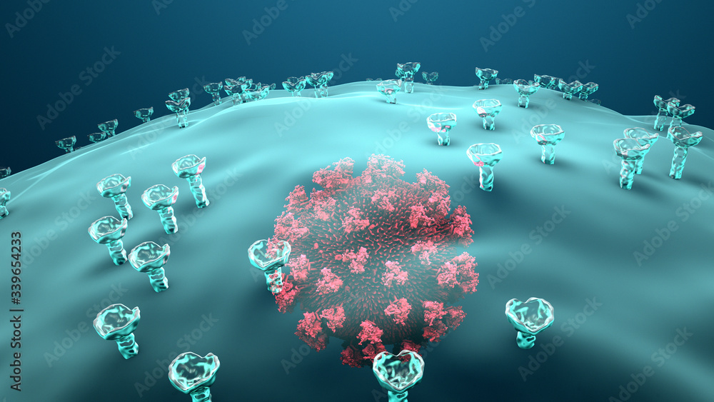 Virus infect a body cell, Viral infection, Virus cause disease by ...