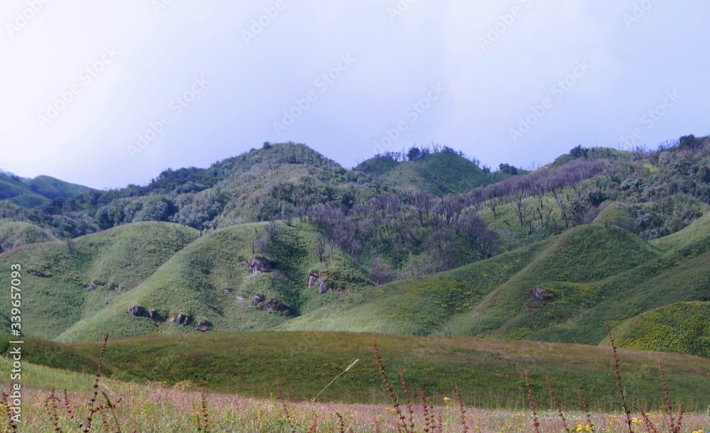 beautiful landscape natural green mountain of northeast india dzukou ...
