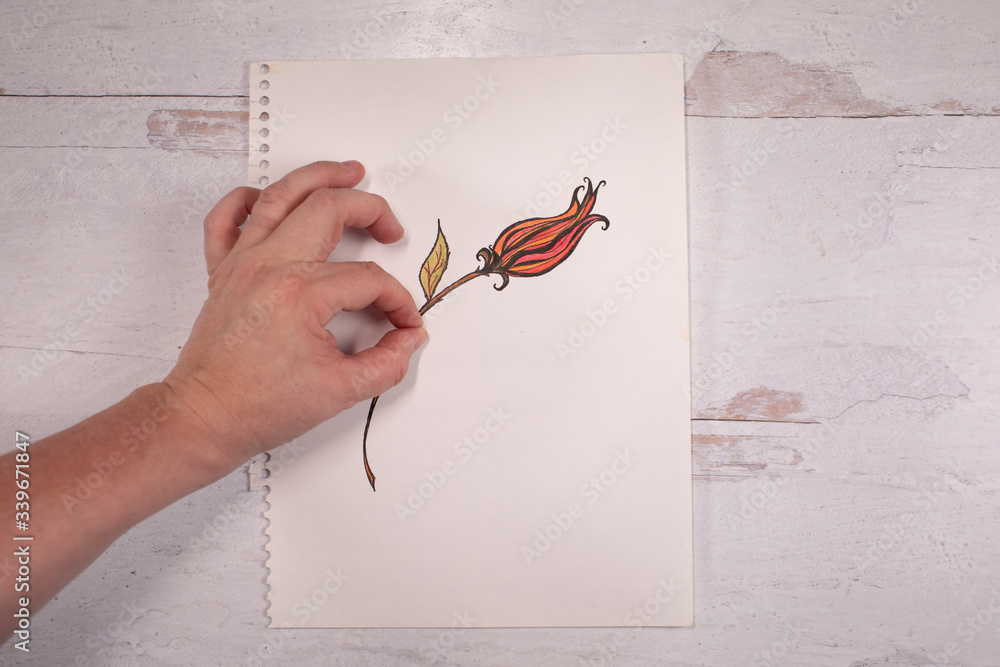 Real human hand picking up a hand-drawn sketch of a flower dead space ...