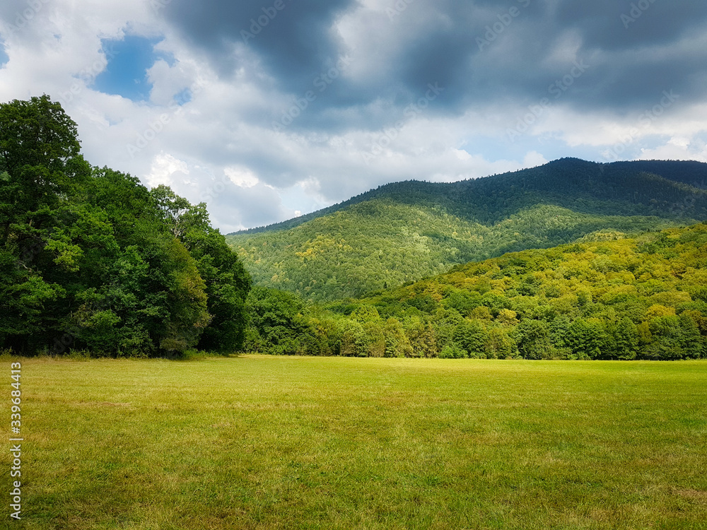 Green field, forest with a mountain in the background and thunderclouds ...