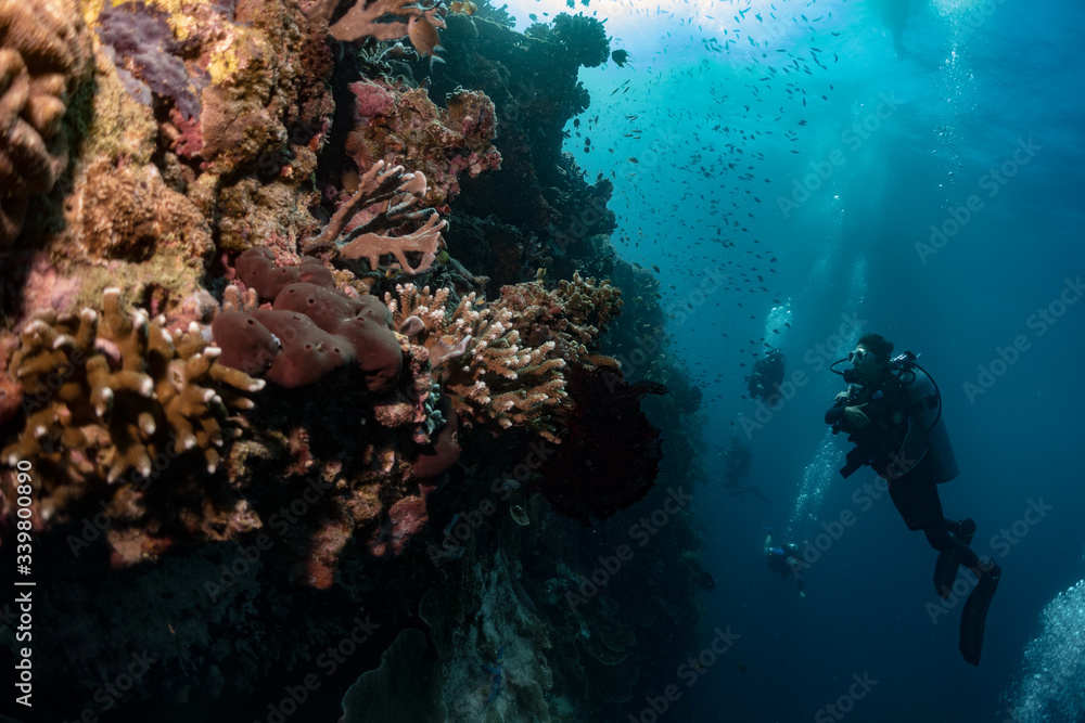 Scuba diver exploring Philippine dive sites in Moalboal. Stock Photo ...