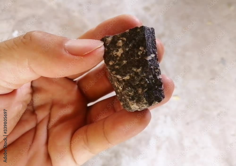 Andesite rock in a hand. Andesite is an extrusive igneous volcanic rock ...