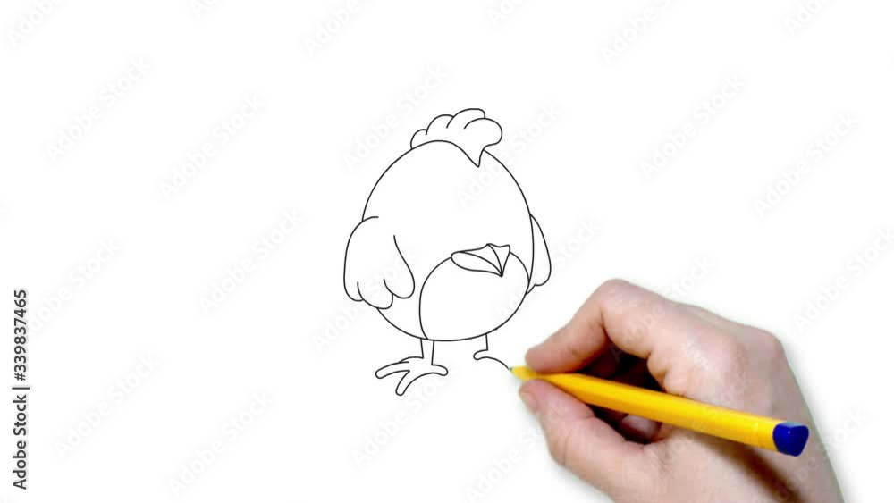 Animated pencil scetch of chicken on white background with hand ...