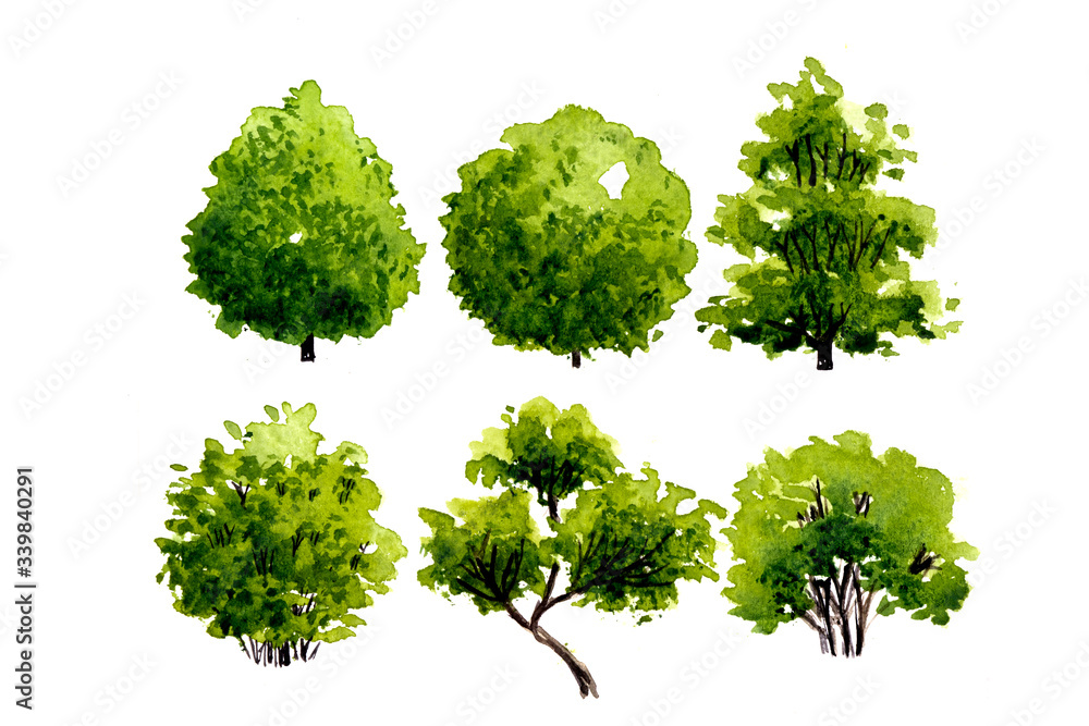 Collection plant shrub symbols of Landscape architect for decorate ...