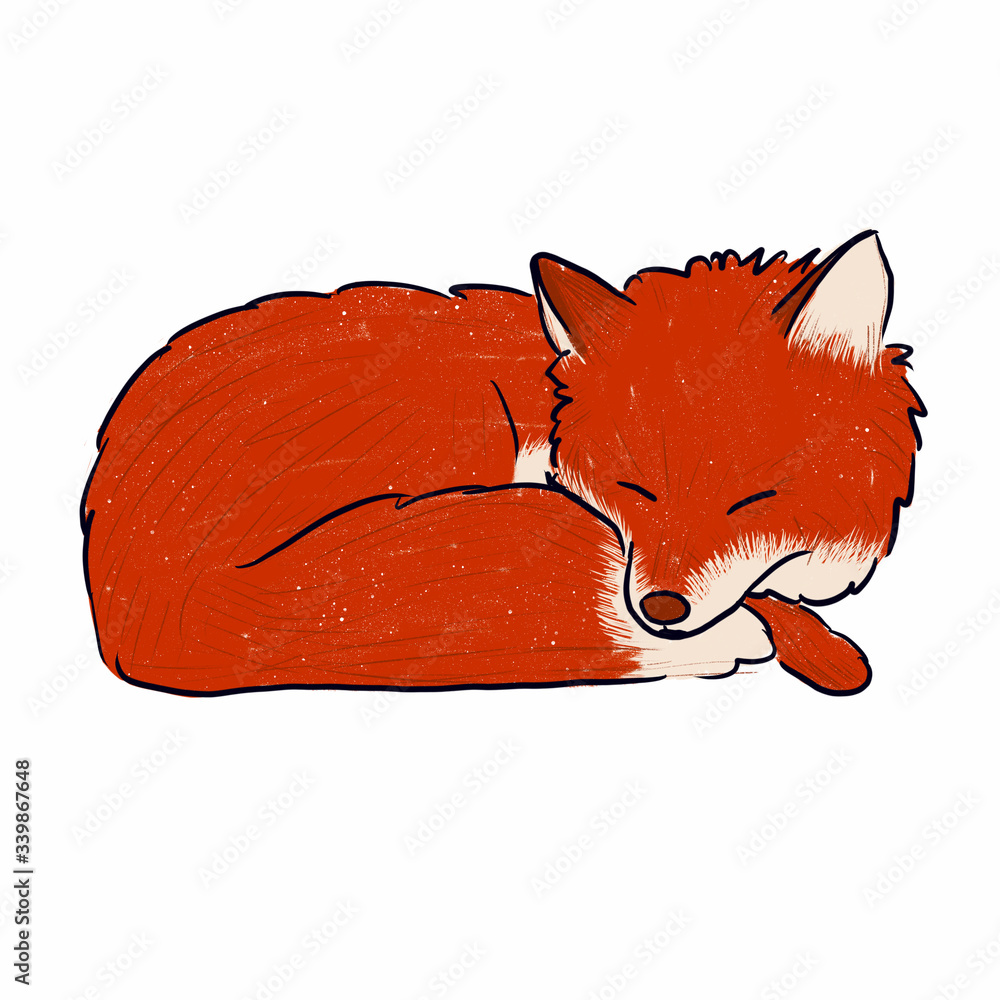 Red fox sleeping Stock Photo | Adobe Stock