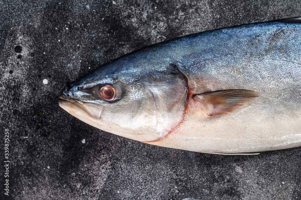 Japanese Yellowtail Fish