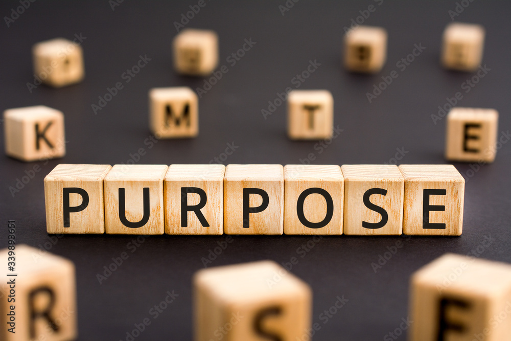 Purpose - word from wooden blocks with letters, target objective goal ...
