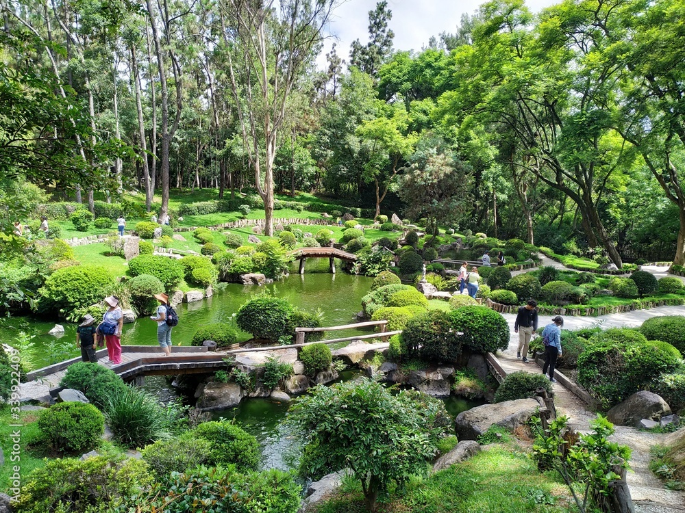 Foto de naturaleza en parques y los animales que habitan. do Stock ...