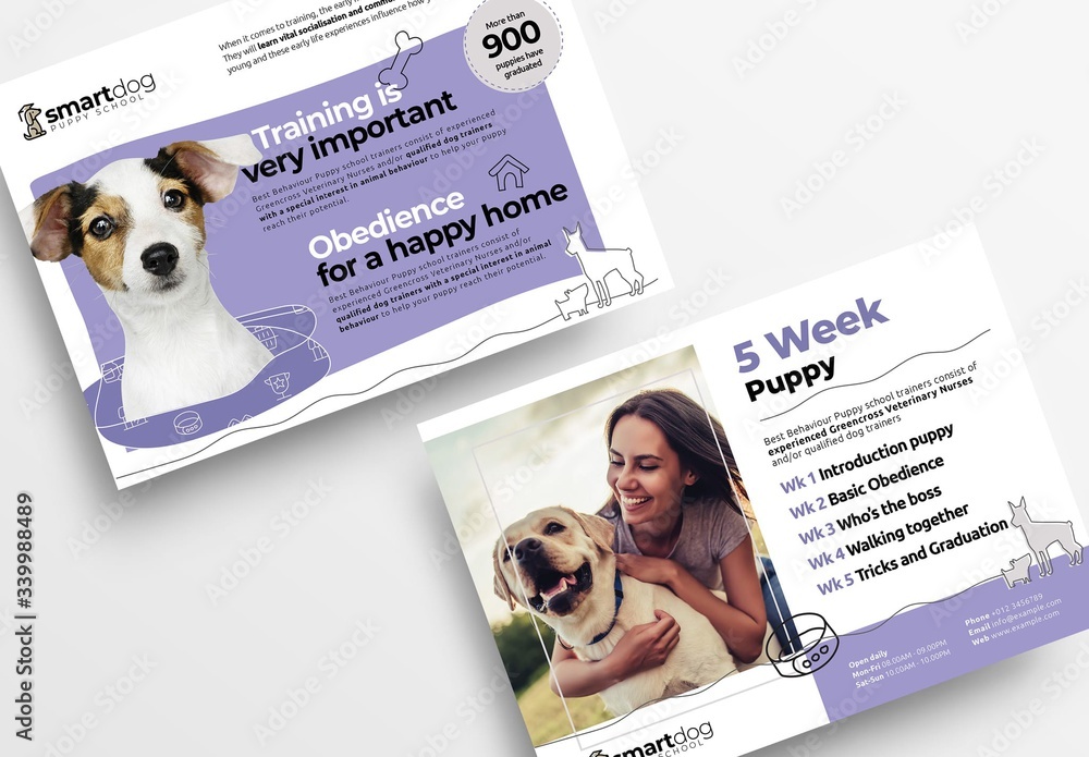 Puppy School Flyer Layout Stock Template | Adobe Stock