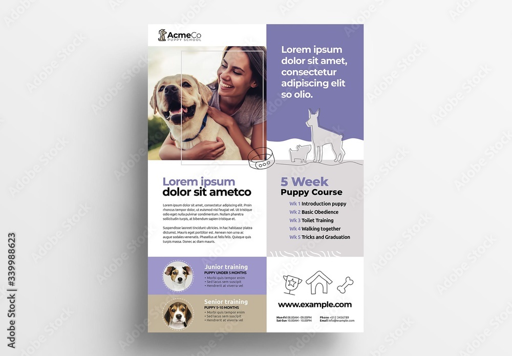 Puppy School & Dog Walking Flyer Layout Stock Template | Adobe Stock