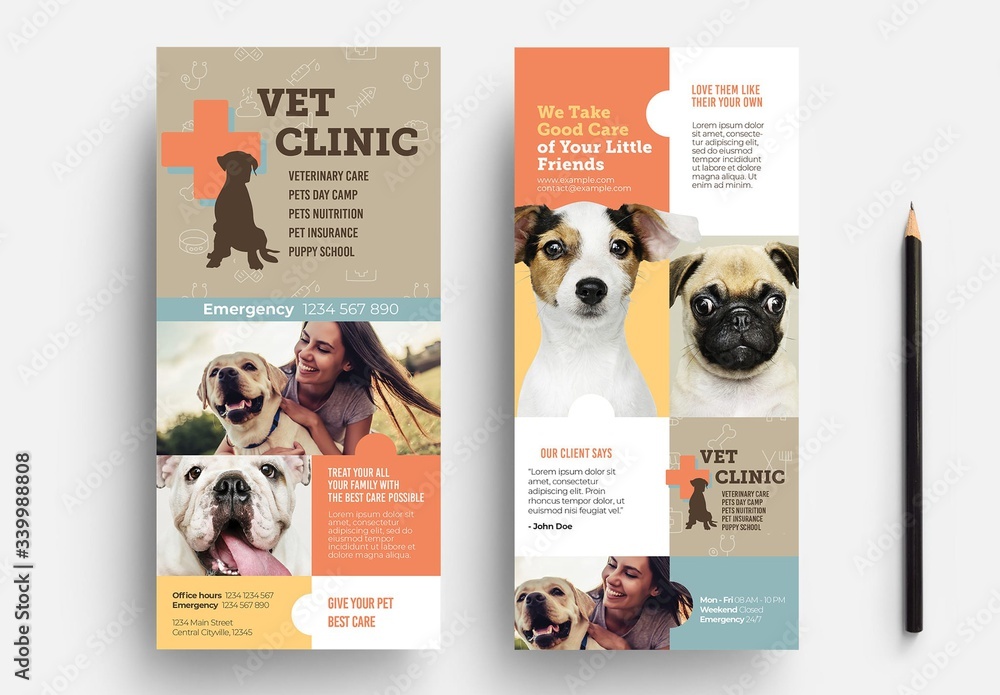 Pet Service Flyer Layout Stock Template | Adobe Stock