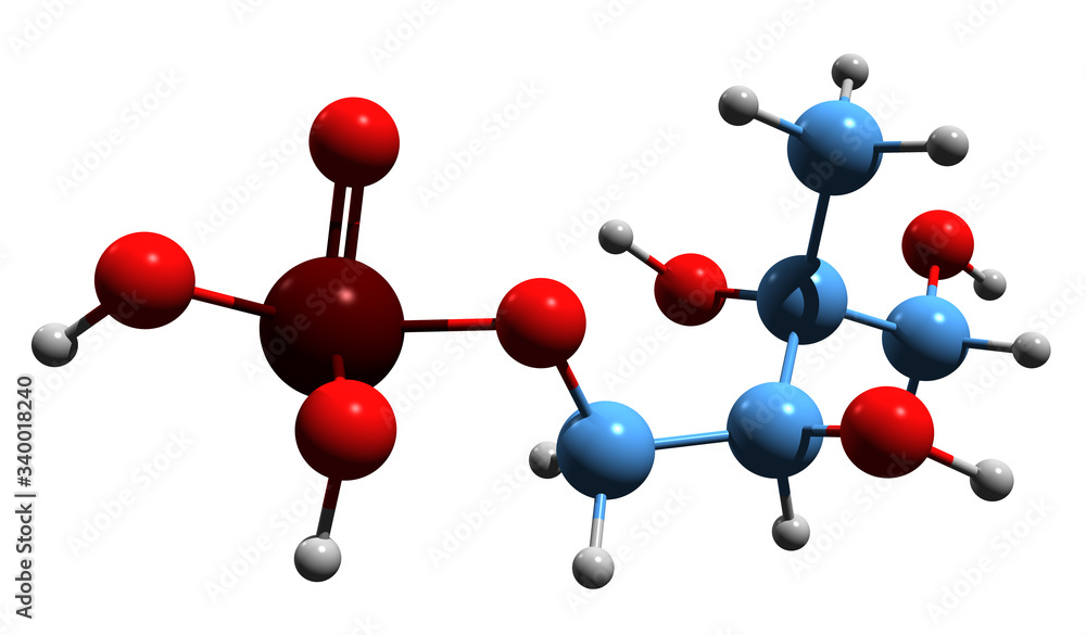 3D image of 2-C-Methylerythritol 4-phosphate skeletal formula ...