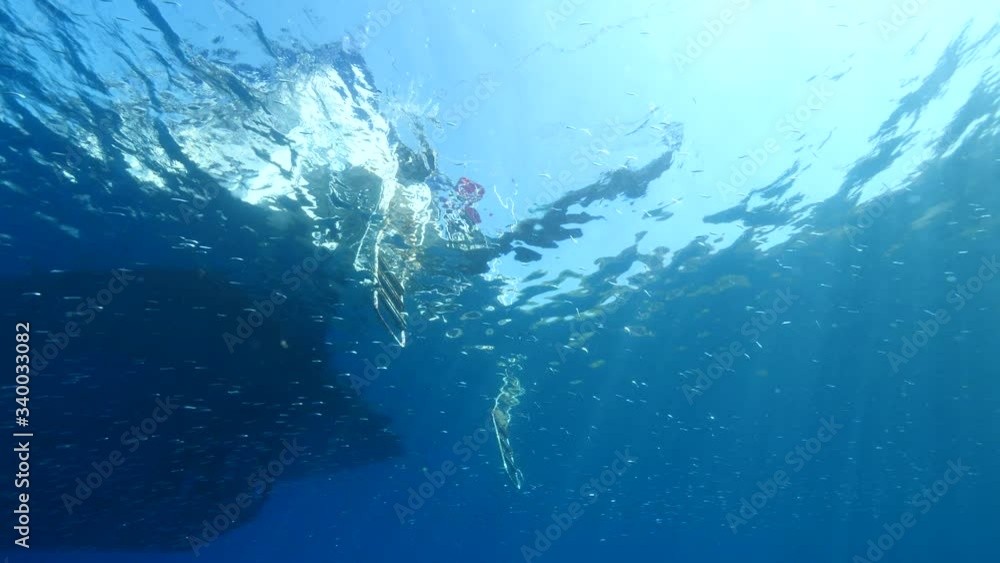 scuba divers jumping in water from boat underwater ocean scenery vídeo ...