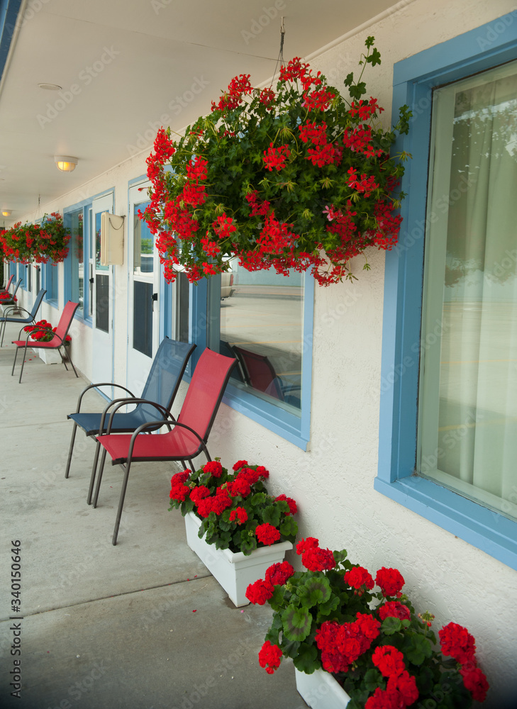 Red Geraniums in Hanging Pots and in Flower Box Planters on Ground in ...